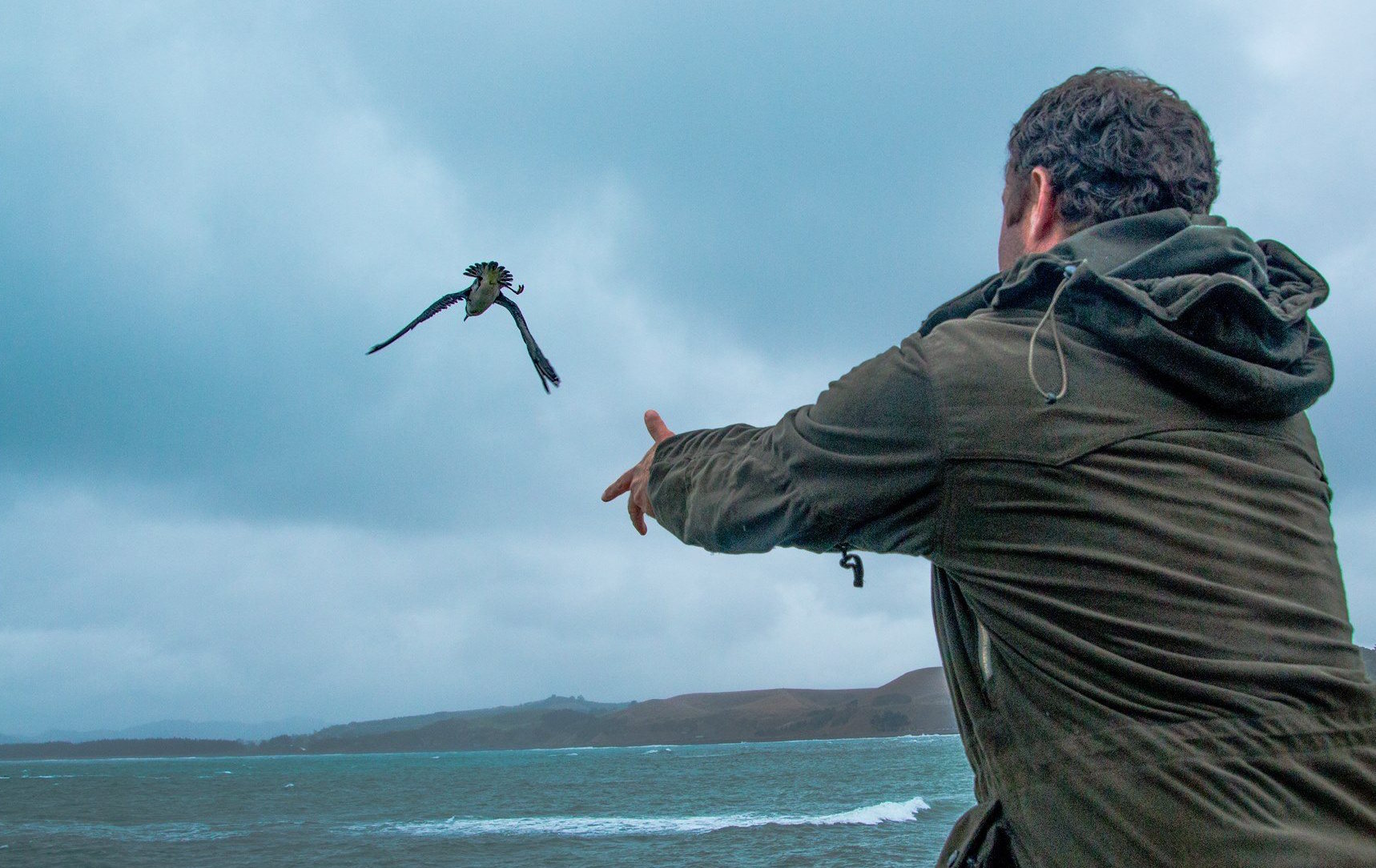The Hutton's Shearwater Charitable Trust