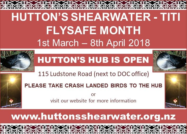 The Hutton's Shearwater Charitable Trust