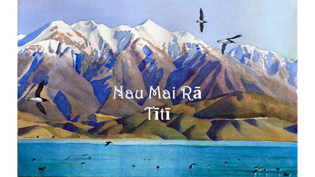 Welcome home to our Titi